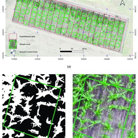 A Experimental Plot And Polygons Sampled In The Extraction Of Download Scientific Diagram