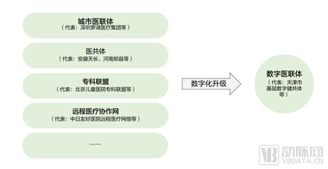 盘点2023年最新医改政策，以数字化赋能医联体建设成重要方向 动脉网