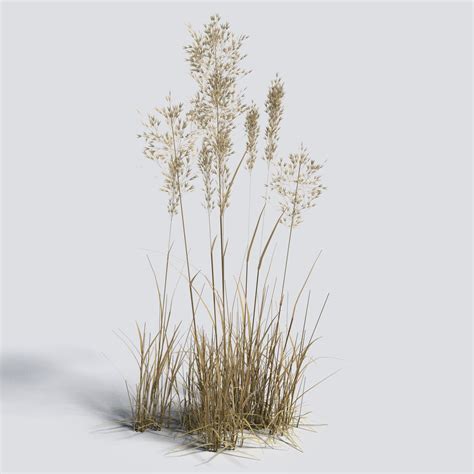 Dry Bent Grass Meadow Patch 3d Model 20 Blend Fbx Obj Free3d