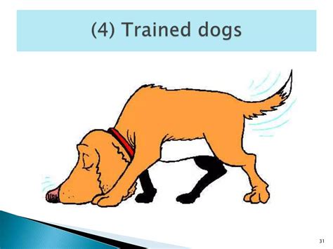 Lecture 2 Estrus Detection In Cattle Ppt