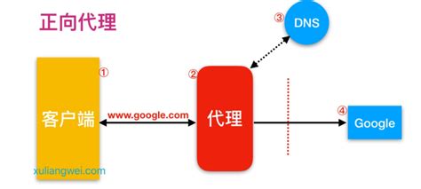 Nginx专栏 Nginx反向代理服务 阿里云开发者社区