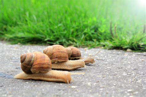 “its Slow” Is Not A Metric Brent Ozar Unlimited®