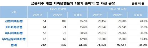 금융지주 계열 저축銀 순이익 44 증가효자 역할 톡톡 네이트 뉴스
