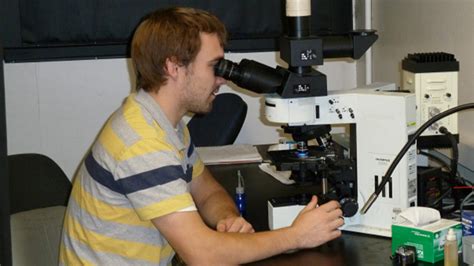 Gallery Fuhrman Lab