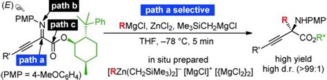 CSelective and Diastereoselective Alkyl Addition to β γAlkynylα
