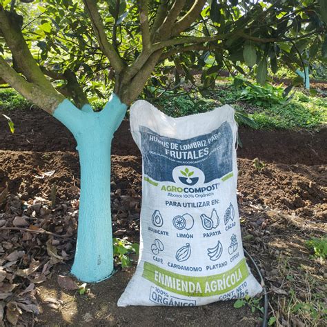 Details 48 Fertilizante Para árboles Frutales Abzlocalmx