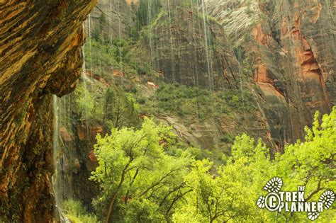 Weeping Rock Zion National Park The Trek Planner