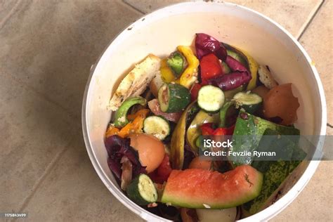 음식물 쓰레기 감소 부엌 음식 스크랩 컨테이너 홈 퇴비화 0에 대한 스톡 사진 및 기타 이미지 0 0명 가정 생활 Istock