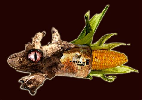 Agroconciencia Con Amor CÁncer Y Plaguicidas