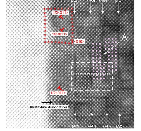 Shows A Noise Filtered And Contrastenhanced Image Of Illustrating Download Scientific Diagram