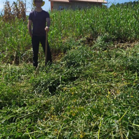 Andre Da Costa Instituto Federal De Educação Ciência E Tecnologia