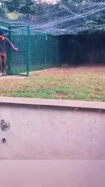 Your Contractor Caused Your Soffit Squirrel Problem How We Fix It Artofit