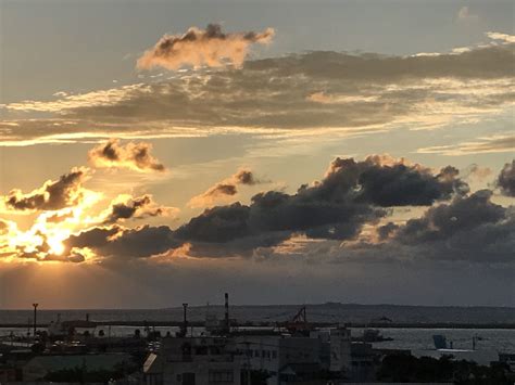 馬毛島 2022年10月7日 いつもの馬毛島 たねたブログ