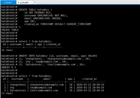 Halo Db 14 小白零基础系列（10） Halodb中mysql模式下的流复制实现 墨天轮
