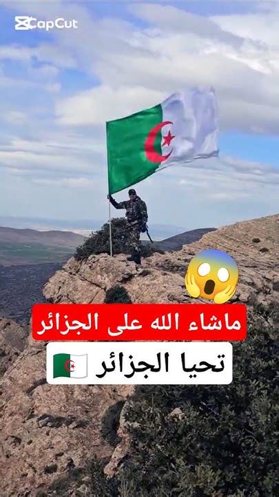 فيديو مؤثر لشاب يحمل علم الجزائر 🇩🇿 الجزائر Youtube