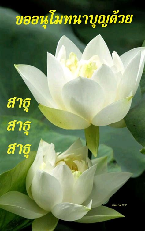 ปักพินโดย Ramchai Chuenbumrung ใน อนุโมทนา สาธุ การ์ตูนน่ารัก สุภาษิต