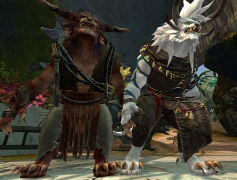 Woad Armor Cannot Be Wvw Only Guild Wars 2 Discussion Guild Wars