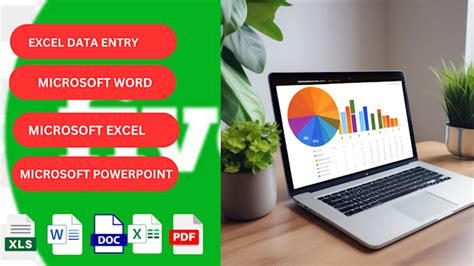 Expertly Handle Your Urgent Excel Assignments Word Documents And