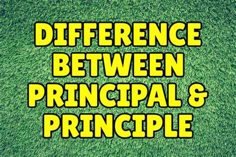 Difference Between Principal And Principle Espresso English