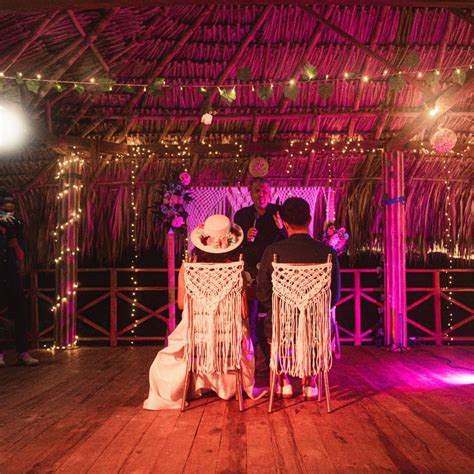 Willman David Willmandavid • Instagram Photos And Videos