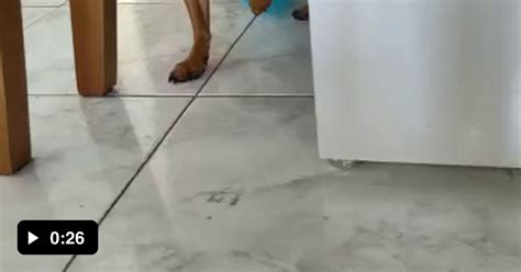 Dangerous 9gag