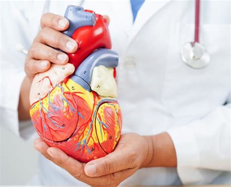 کلینیک قلب و عروق بهار مرکز تخصصی بیماری های قلب عروق و واریس