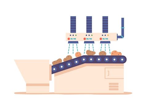 감자 칩 제조 공정 잘 익은 신선한 야채 괴경 공장 컨베이어 벨트 벡터 일러스트에서 세척 프리미엄 벡터