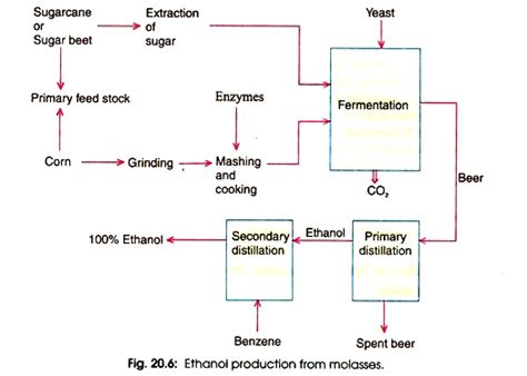 Ethanol Production Alcohol Ethanol Fermentation Biology Notes Online