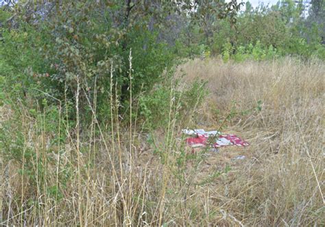 Incendiu în parcul IOR Video spotmedia ro