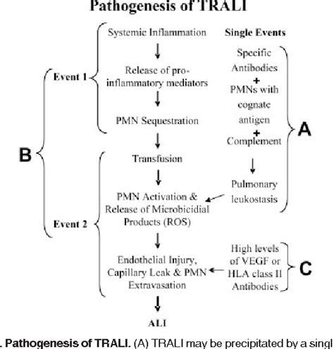 Blood Component Transfusion Semantic Scholar