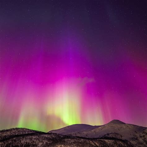 Aurora Colors Infographic