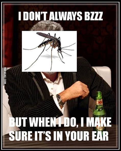 Hate Mosquitos 9gag