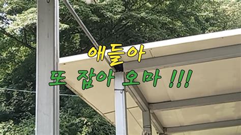 아빠 엄마는 너희 땜시 바쁘다 Youtube