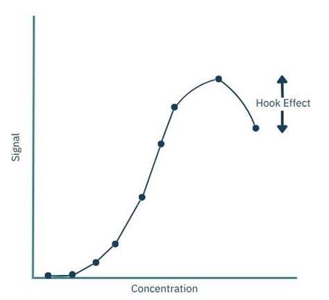 An Introduction To Immunoassay Interference Blog Biosynth
