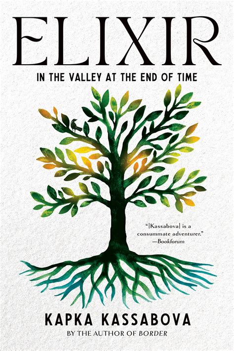 Review Of Elixir 9781644452332 — Foreword Reviews
