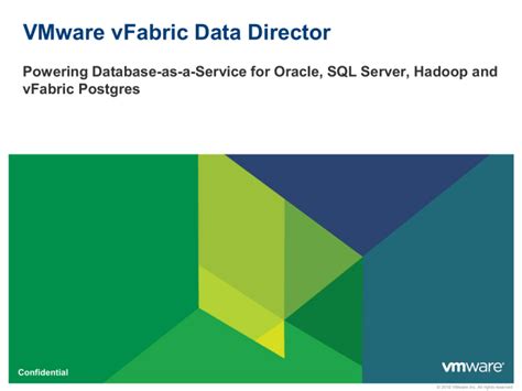 VMware VFabric Data Director