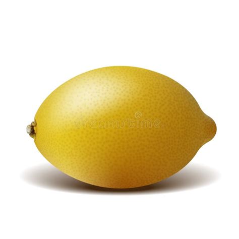 Lemon Isolated On A White Background Lemon And Lemon Slice