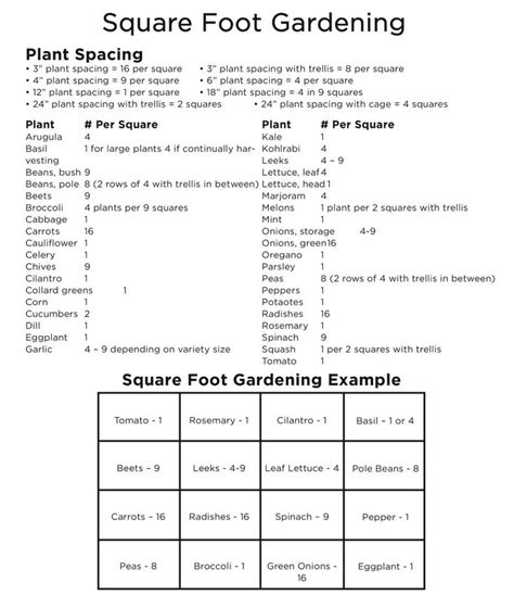 Square Foot Gardening Diagram