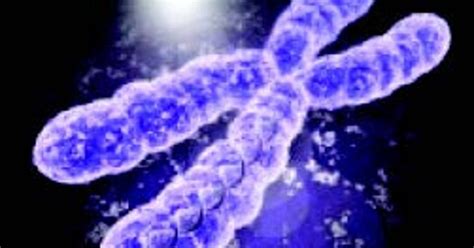 Thema 7 Medische Genetica Hanze
