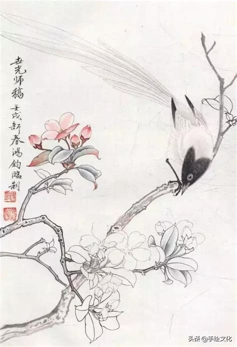 中國傳統工筆禽鳥畫法真詳細 每日頭條