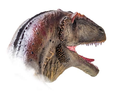 Carcharodontosaurus Iguidensis Vs Saharicus