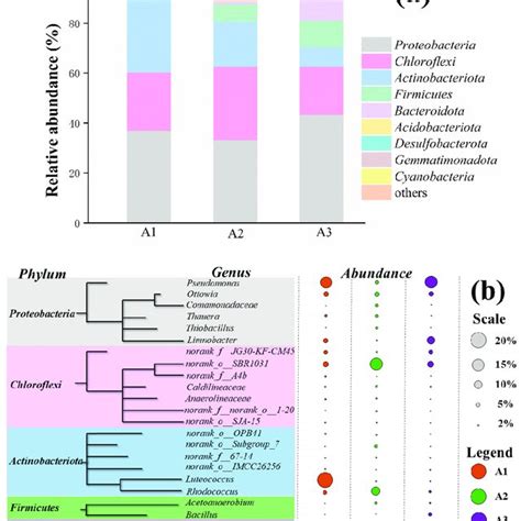 The Microbial Community Structures Of The Different Bacteria At A A