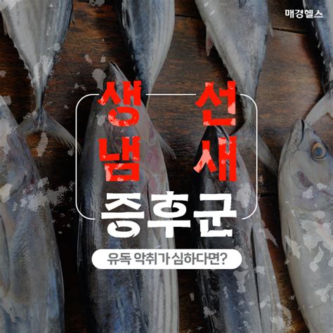 몸에서 생선 썩는 냄새가 나요숨만 쉬어도 악취 풍기는 생선냄새증후군