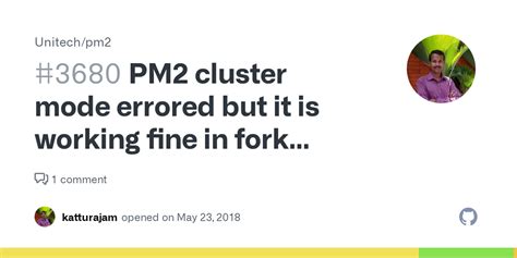Pm2 Cluster Mode Errored But It Is Working Fine In Fork Mode · Issue