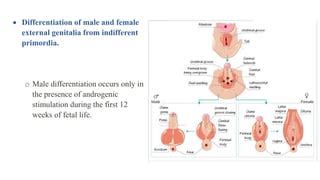 Normal Sexuality PPT