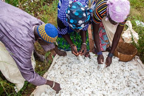 Exploring Our New Approach To Sustainable Livelihoods Qanda With Maria Kjaer Smallholder