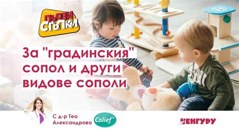 За градинския сопол и други видове сополи Youtube