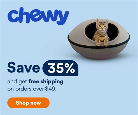 How Much Catnip Can I Give My Cat Vet Reviewed Facts And Faq Catster