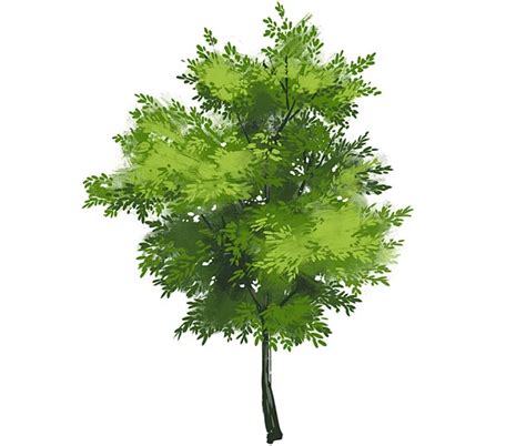 Cg原画的x先生的照片 微相册 花瓣网