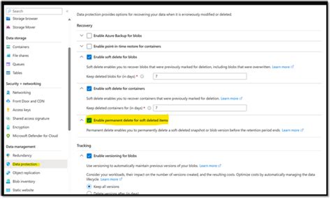 Permanent Delete Of Soft Deleted Snapshot And Versions Without